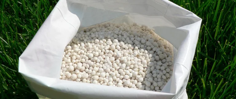 Effective Fertilizers for Charleston Lawns